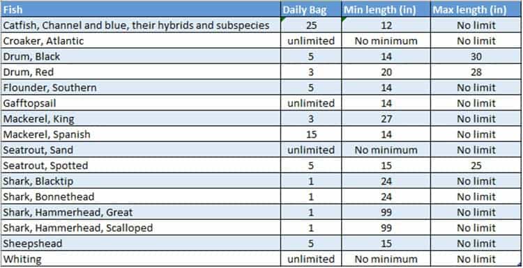 What Saltwater Fish Can You Catch Off Of A Pier? - Active At The Beach