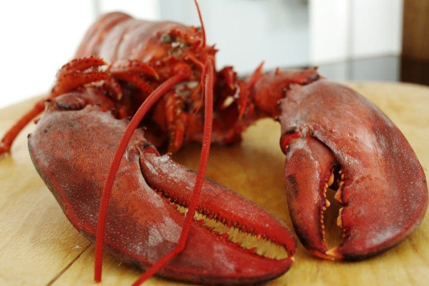 Gesmokter Hummer vom Grill - bacon zum steak