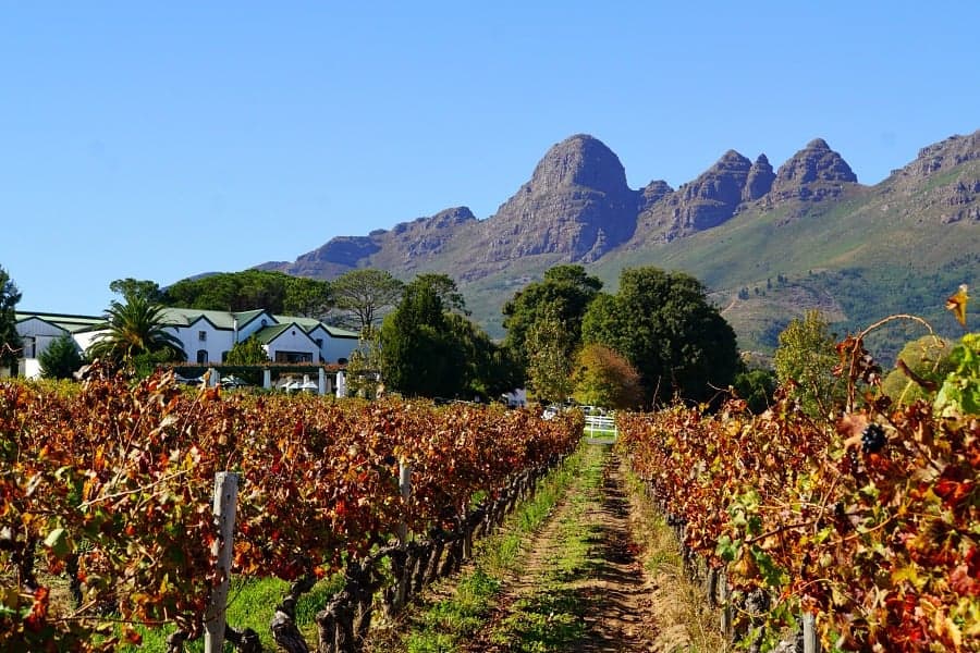 Stellenbosch - Uncorking a Luxury Travel Destination For Less