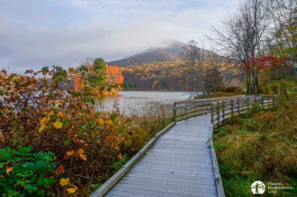 Blue Ridge Parkway, Virginia: Fall 2019 Guide - Travel. Experience. Live.