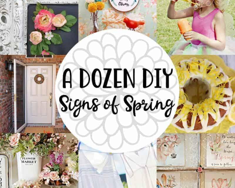 12 DIY Signs of Spring | The How-To Home