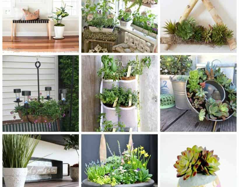 9 Pretty and Creative Plant Ideas | The How-To Home
