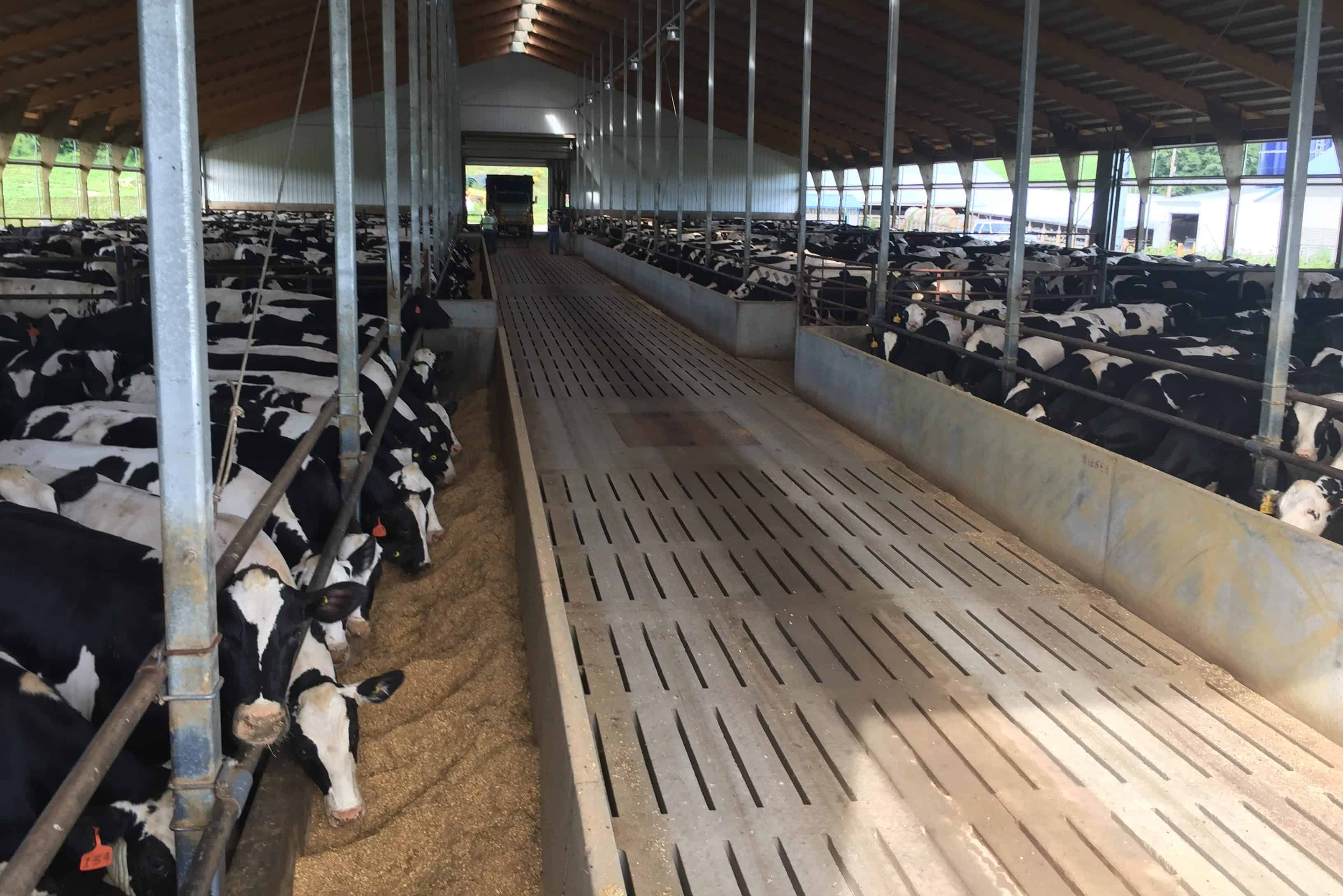 Manure Storage | Wieser Concrete