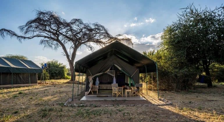 Tarangire View Camp, Tarangire National Park, Tanzania - 2020 / 2021