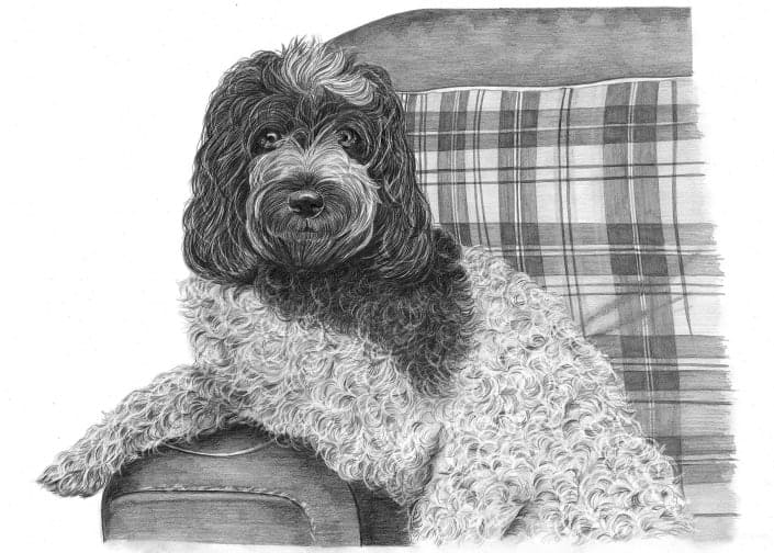 Dog Drawings by Angela of Pencil Sketch Portraits