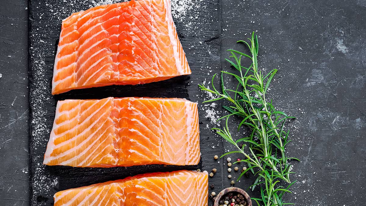 Atlantic Salmon | North Atlantic and the Gulf of Maine | True North Seafood