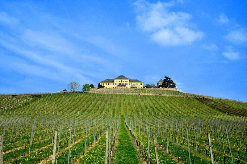 Schloss Johannisberg • Wine Tastings, Tours & Events • Winetraveler