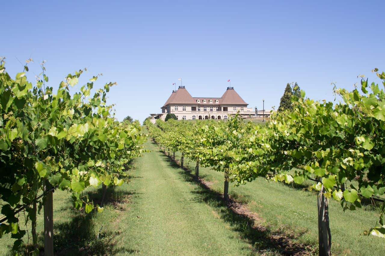 Chateau Elan Winery & Resort • Wine Tastings, Tours, Reviews & Hotel