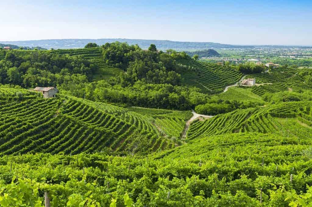 Discover The Wine Region of Veneto Italy • Winetraveler
