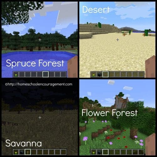 Learning about Biomes with Minecraft