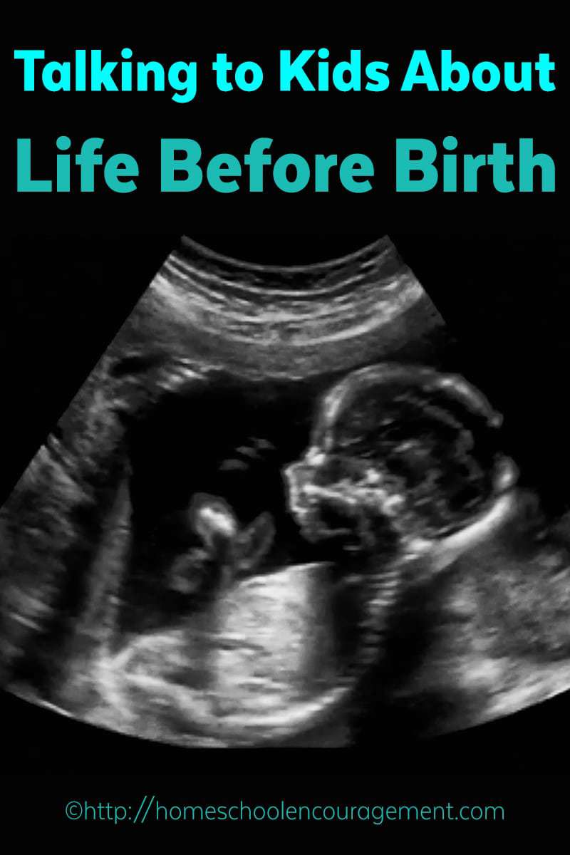 How to Talk to Children About Life before Birth