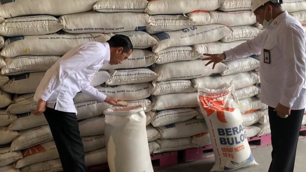 President Jokowi Inspects Availability of Rice at Bulog Warehouse
