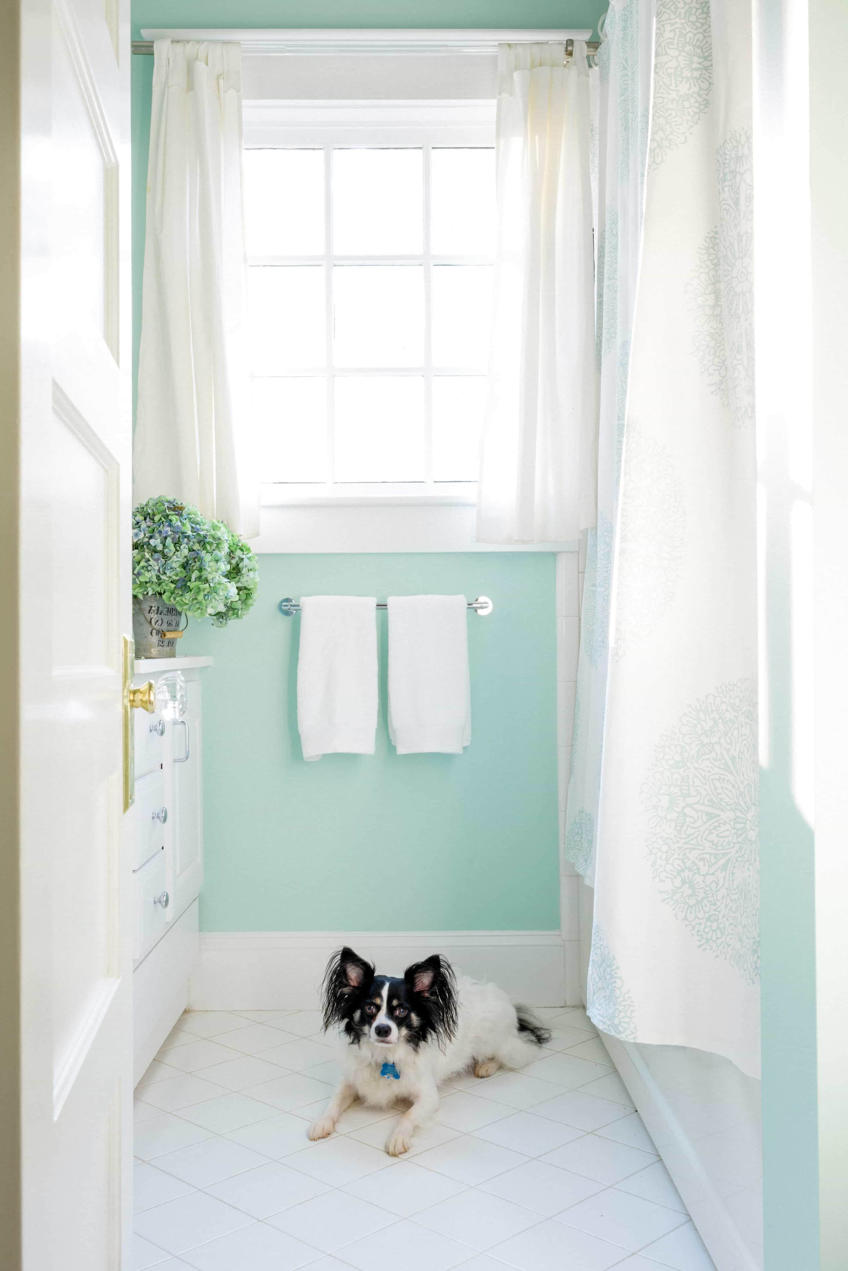 Mint Green Cottage Style Bathroom Gallery mint-green-cottage-style-bathroom-gallery
