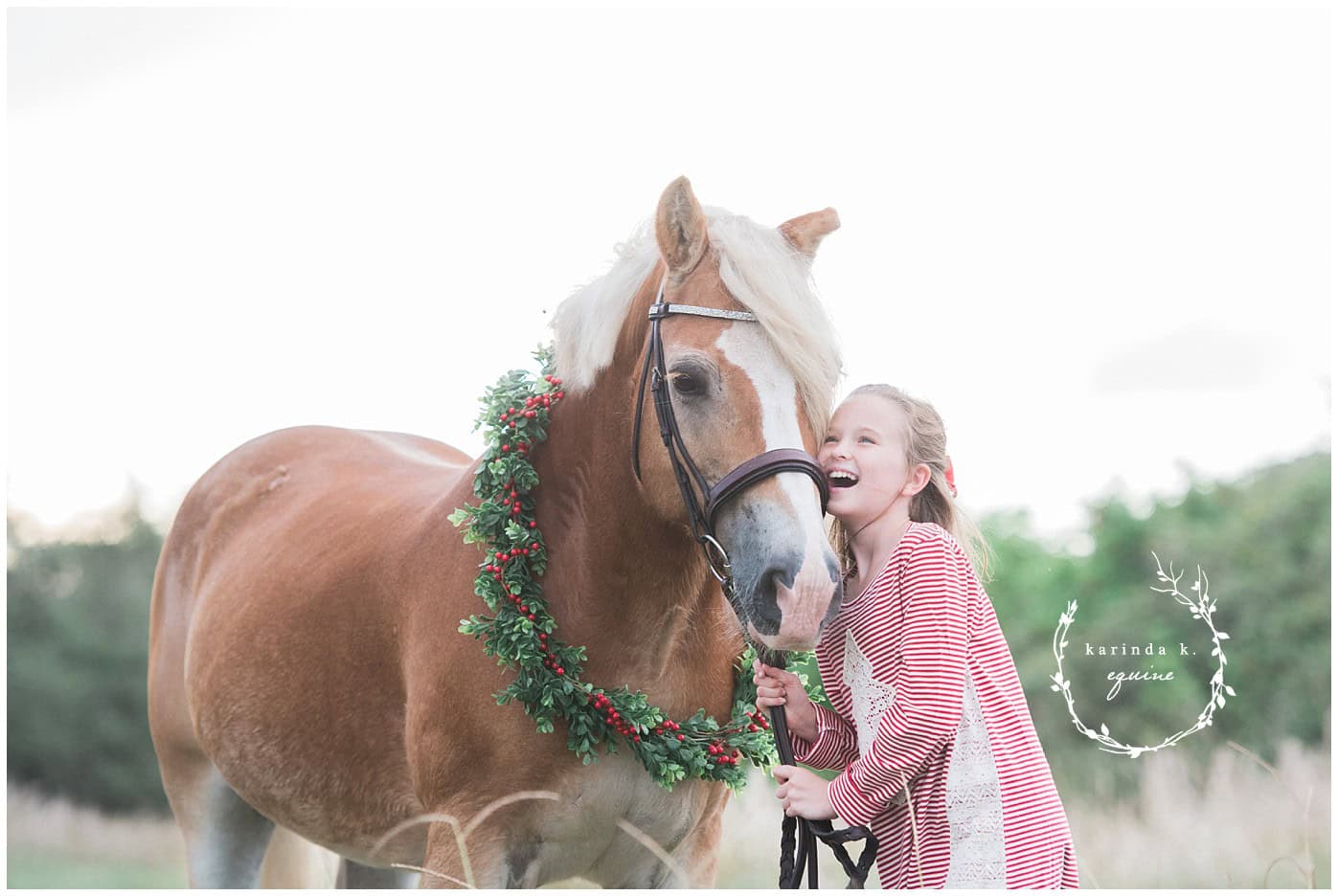 Christmas Horse Rider Portraits Texas Equine Photographer