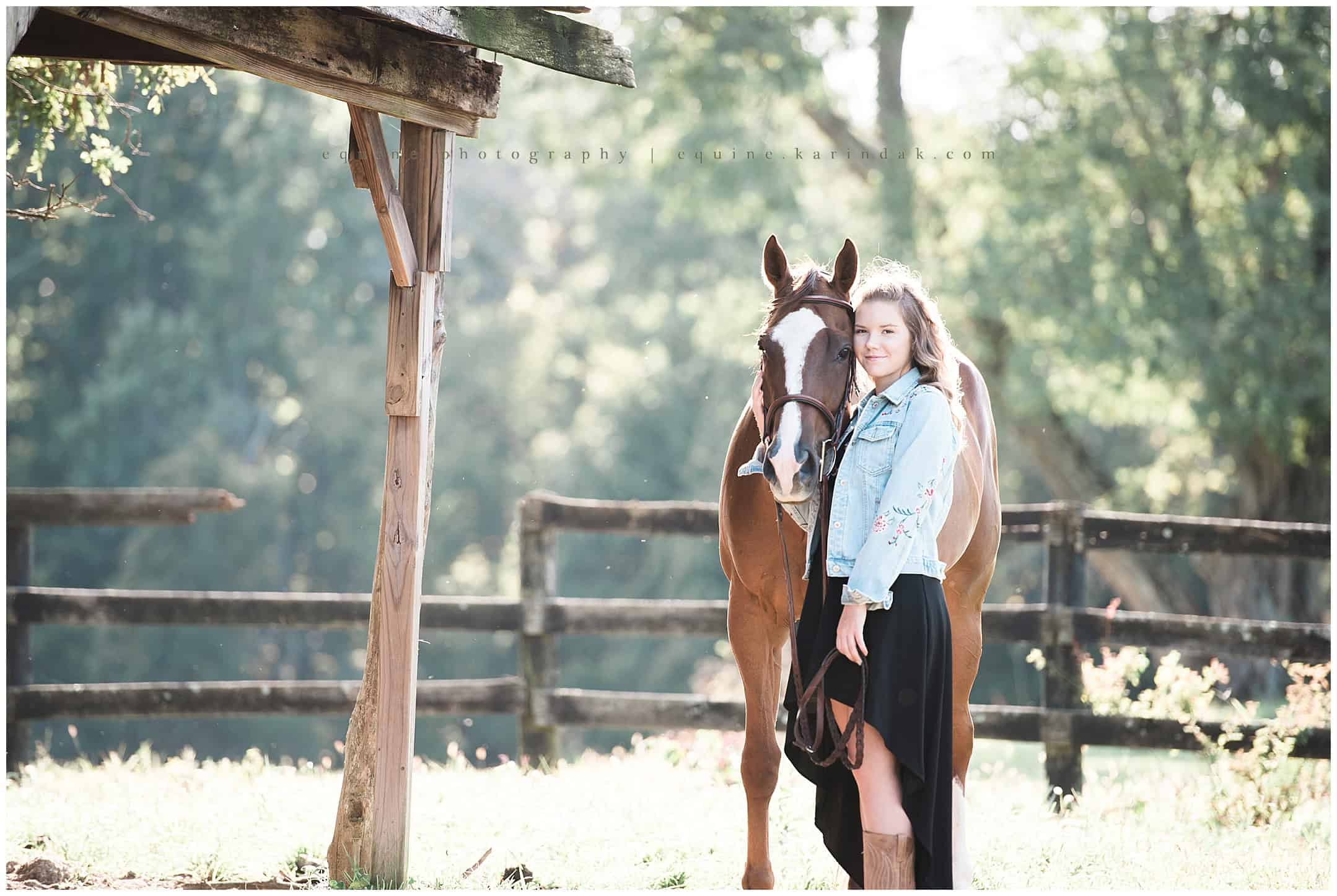 Our Favorite Horse & Rider Portrait Sessions - Texas Equine Photography ...