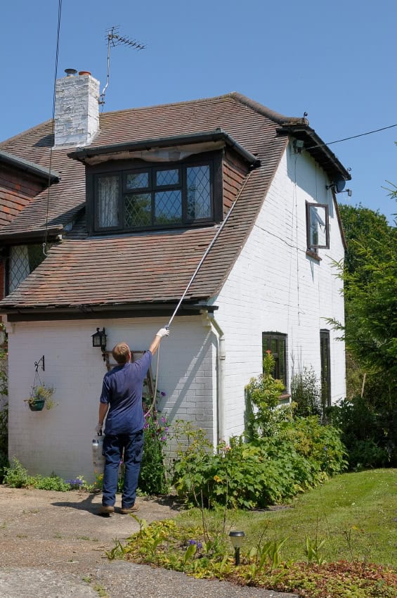 APC Pest Control | Pest Control Experts in Norwich & Norfolk