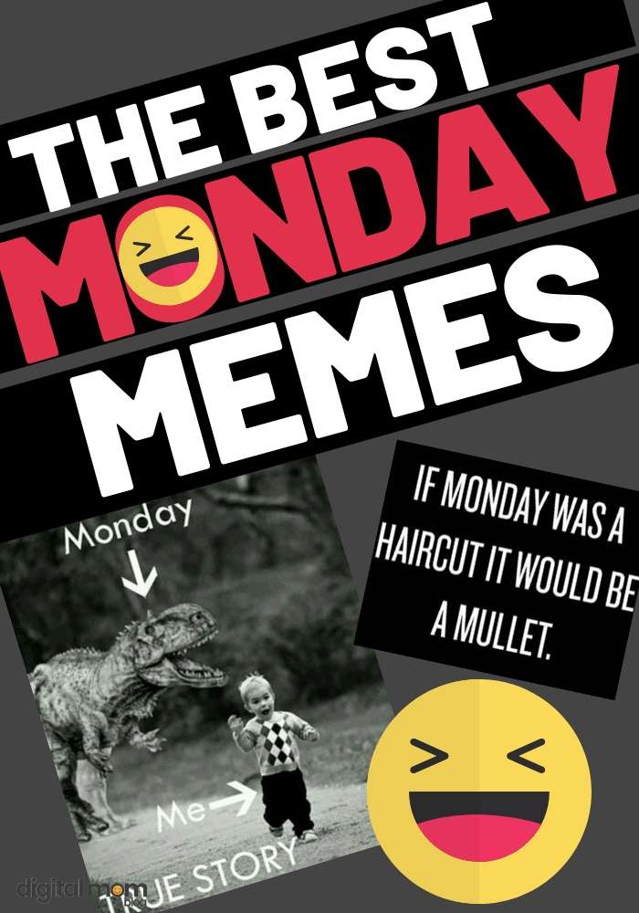 Monday Memes - 50+ Funny Memes to Start Your Week