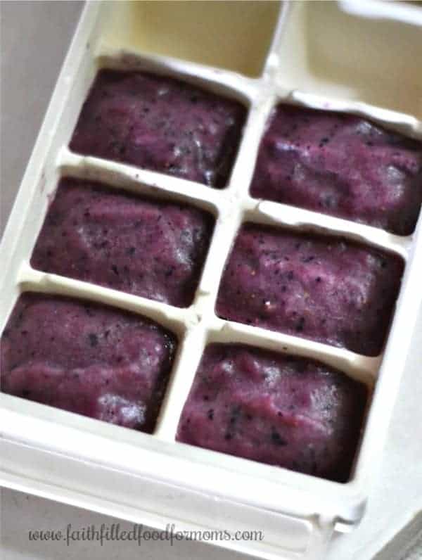 How To Make Healthy Smoothie Cubes for Kids • Faith Filled Food for Moms