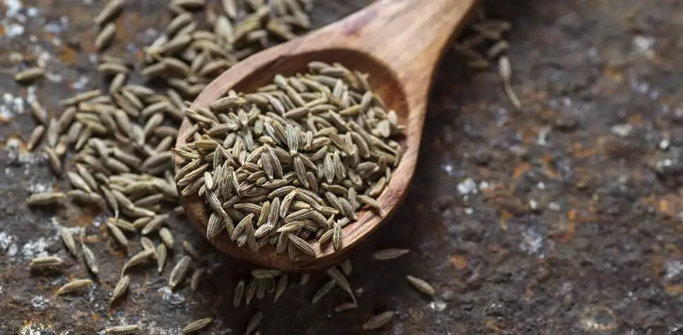cumin seeds
