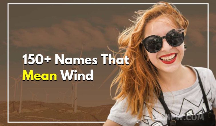 Top 100 soaring names that mean wind, sky, and air, wind names for ...