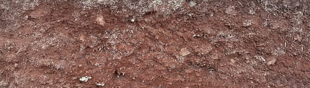 Knowledgebase | Cornish Lime