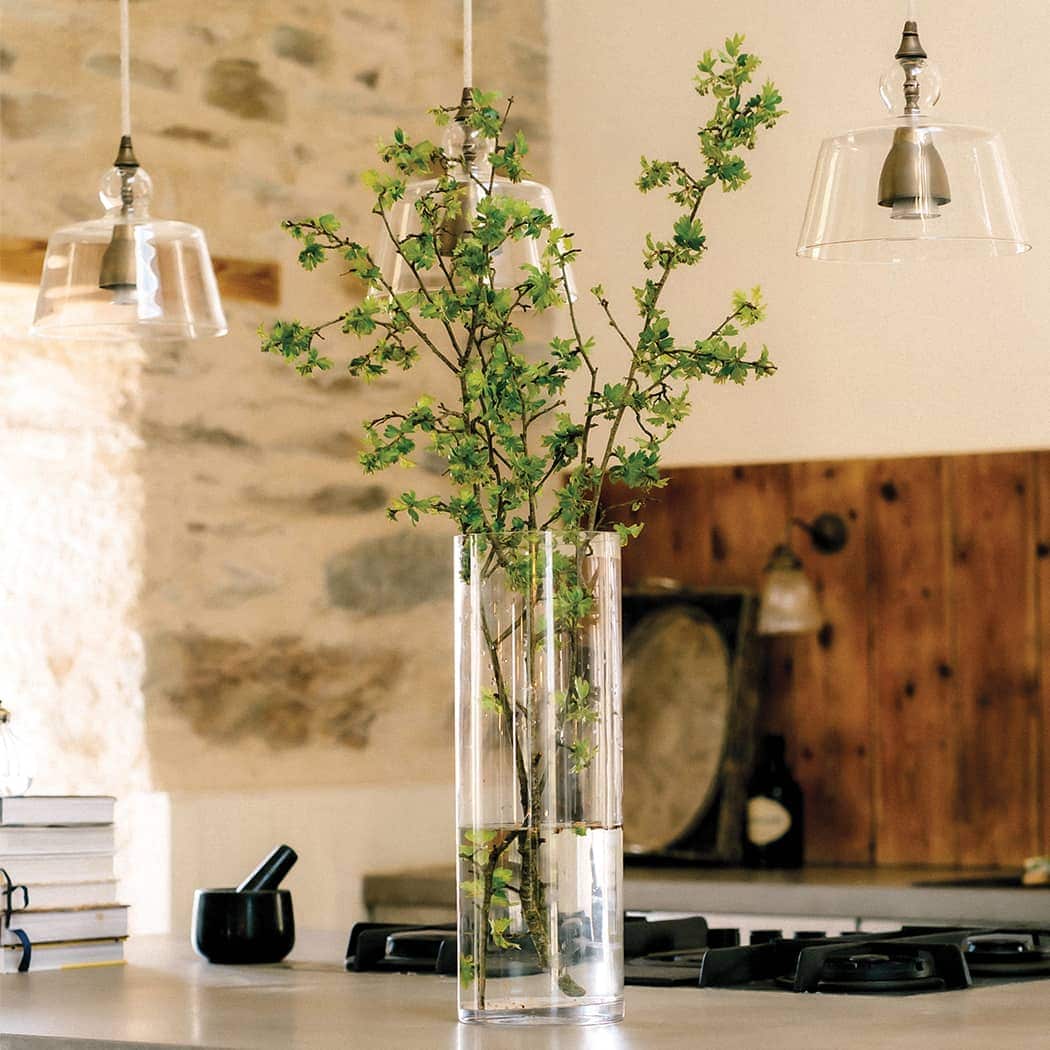 Beeck Maxil Pro | Internal Mineral Paint | Cornish Lime