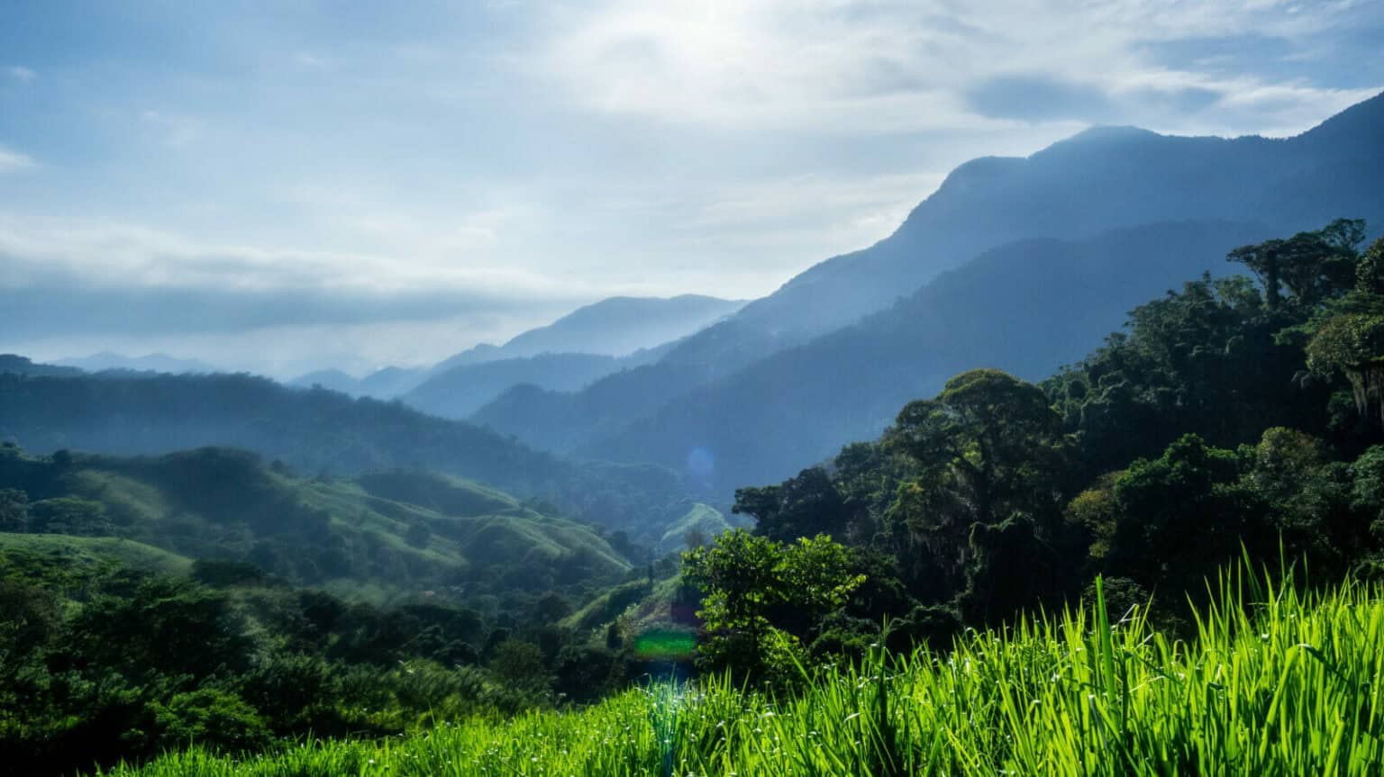 Ciudad Perdida Colombie : trek vers la cité perdue