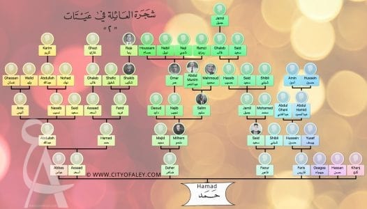 Talhouk Family History