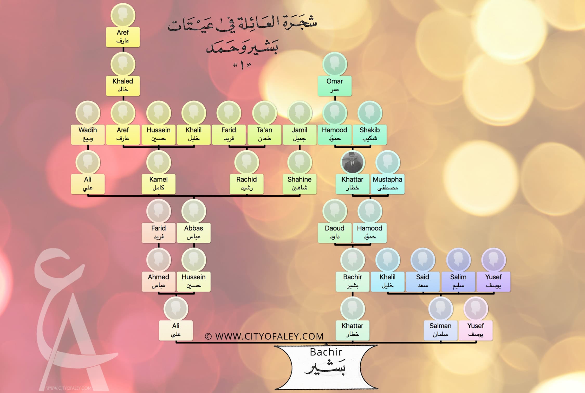 Talhouk Family History