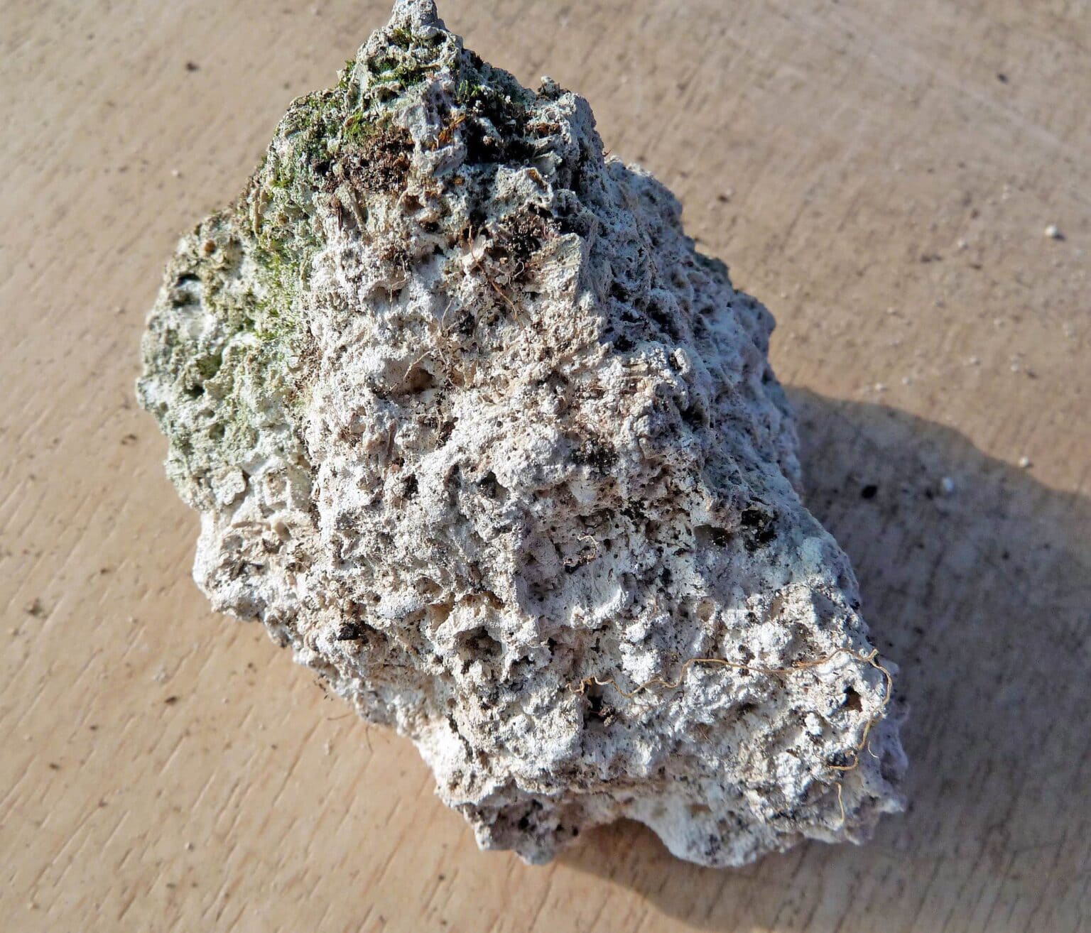 How to make an alpine trough with hypertufa - Alpine Garden Society