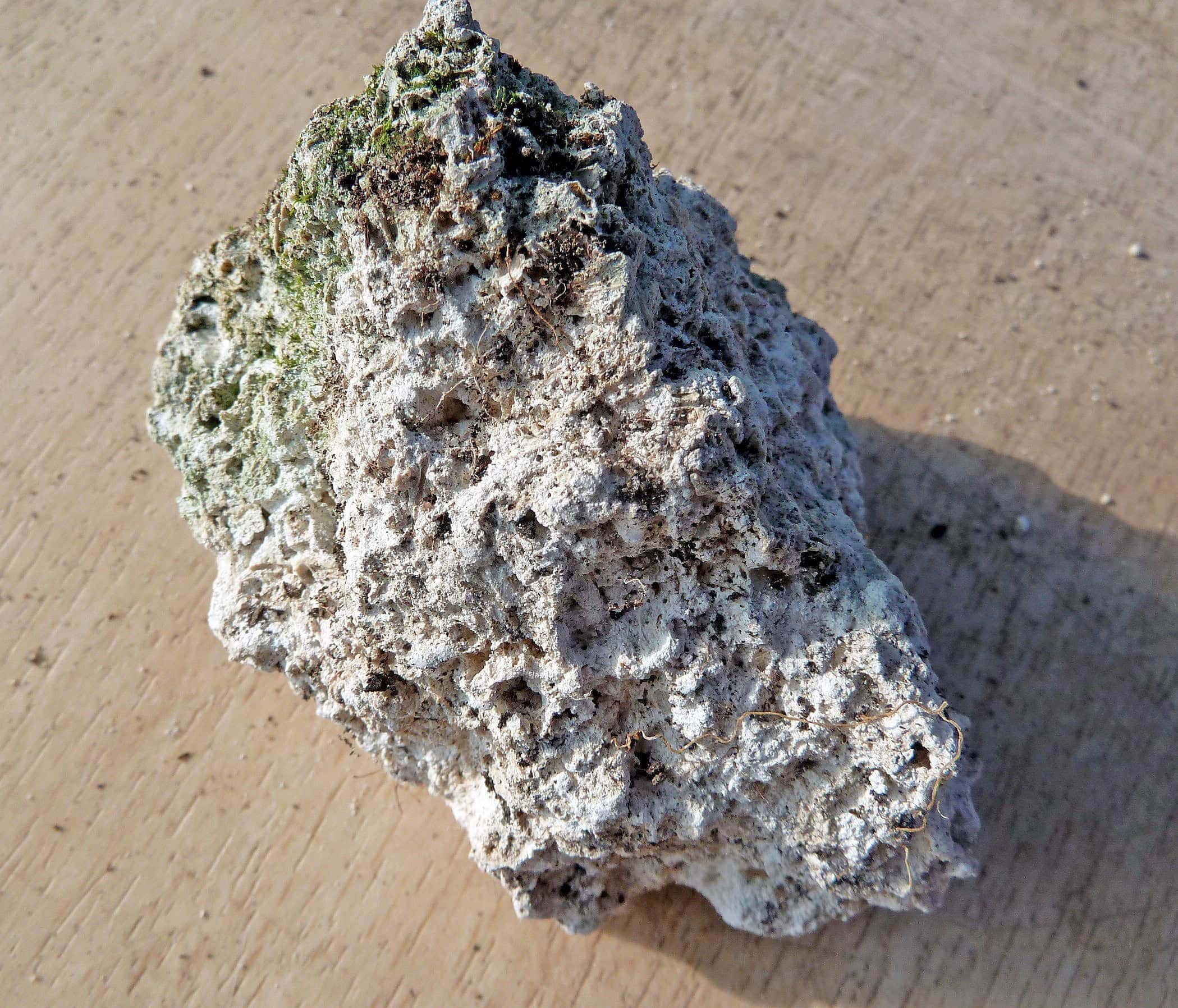 How to make an alpine trough with hypertufa - Alpine Garden Society