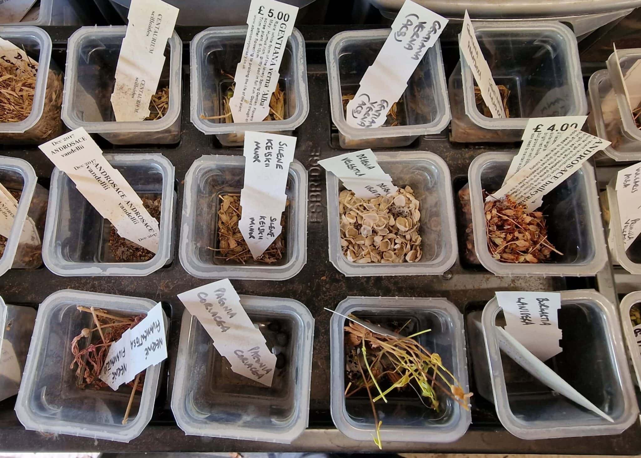 Propagation of Alpine Plants - Alpine Garden Society