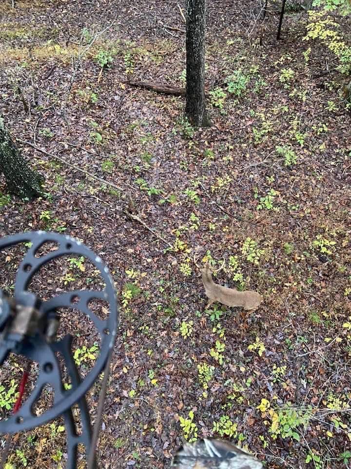 26 Scent Control Tips for Deer Hunting (My Scent Routine)