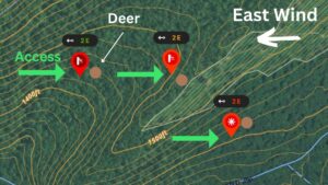 Hunting the Wind: How to Use the Wind to Hunt Deer