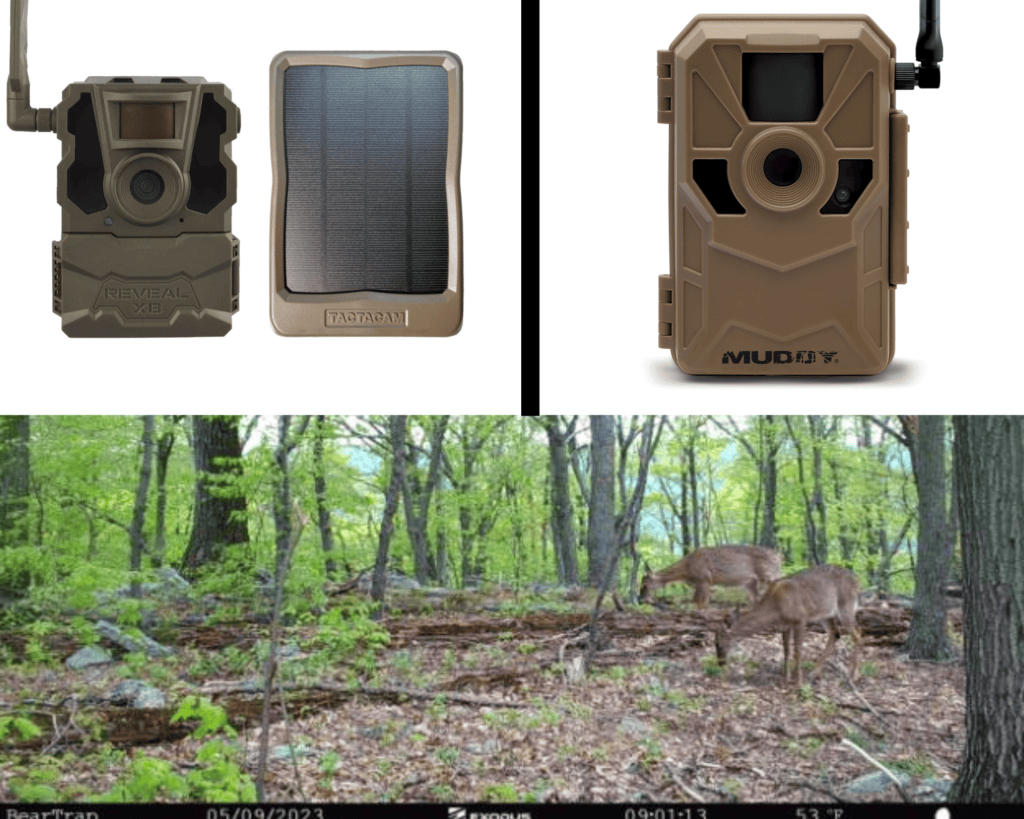 Using Cellular Trail Cameras for Realtime Deer Scouting