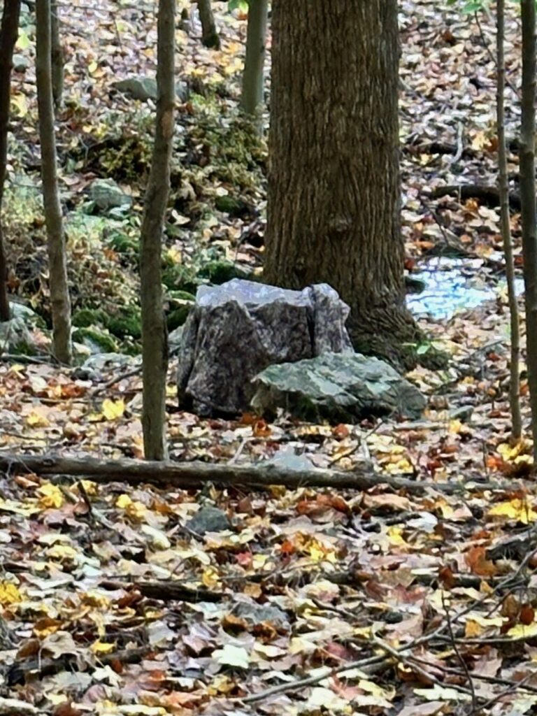 Best Camo for Deer Hunting: What the Science Says