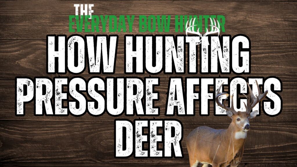 How Hunting Pressure Affects Deer (And How to Beat It)