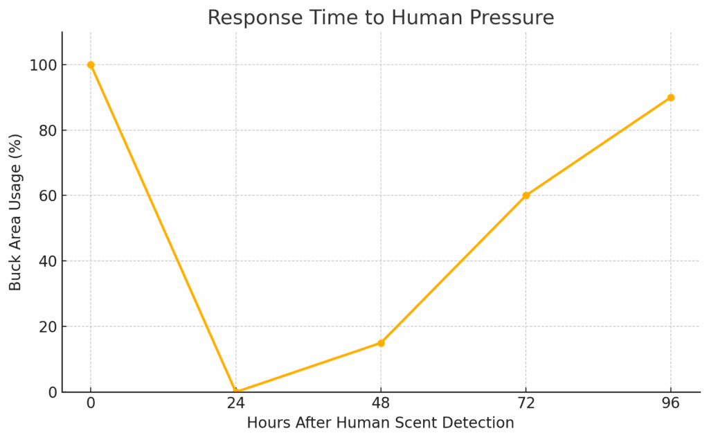 Where Bucks Bed (And How to Hunt Them Without Blowing It)