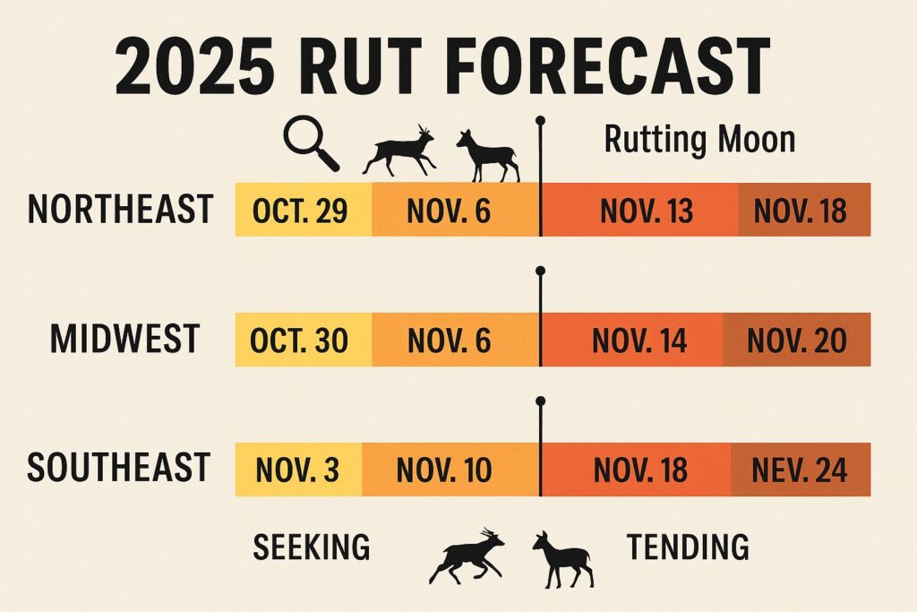 2025 Whitetail Rut Prediction: Best Dates to Hunt