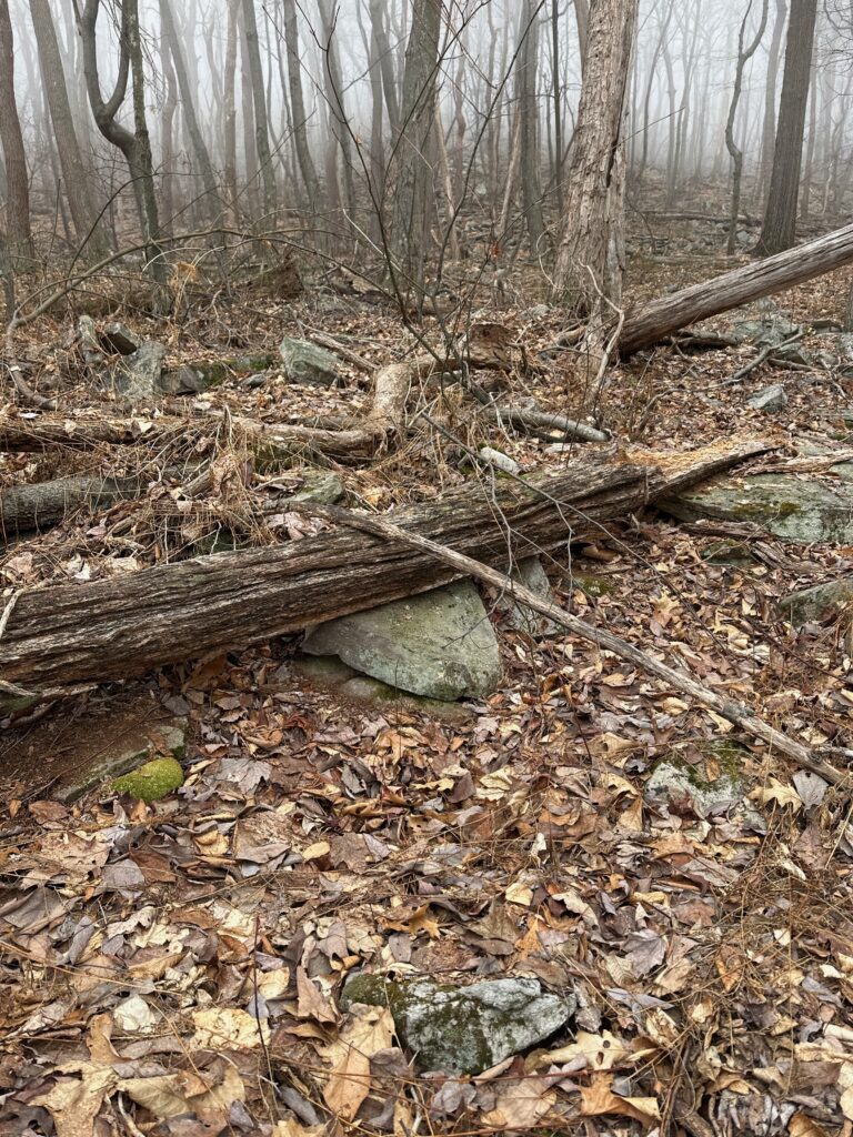 Deer Sign: How to Scout Tracks, Trails, Rubs, and Scrapes