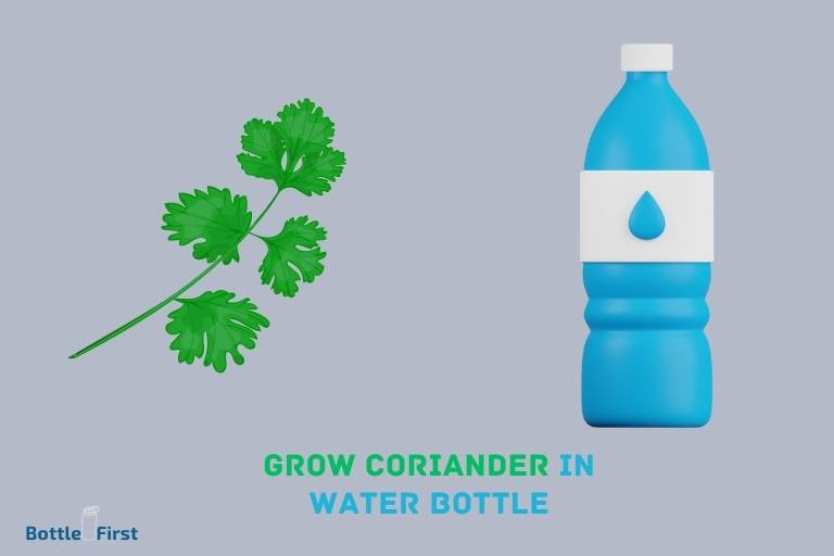 How To Grow Coriander In Water Bottle? The Ultimate Guide