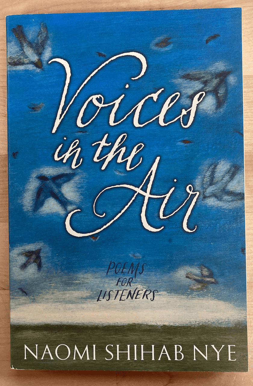 Voices in the Air: Poems for Listeners - Button Poetry