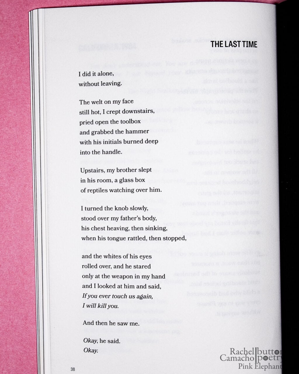 Pink Elephant - Button Poetry
