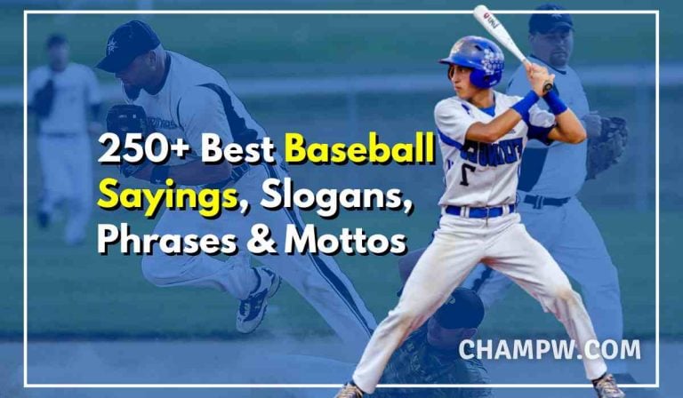 250+ Creative Baseball Sayings ,Slogans, Phrases & Mottos