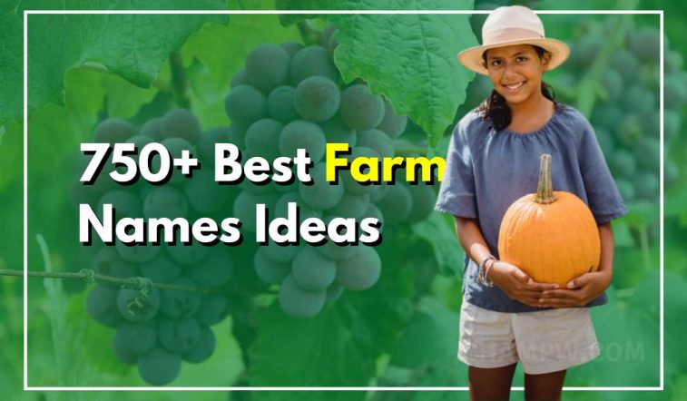 750+ New Farm Names To Start Your Super Profitable Business
