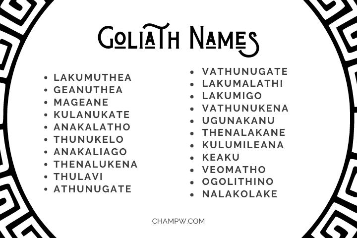 350+ Goliath Names: A Unique Name For Your Business
