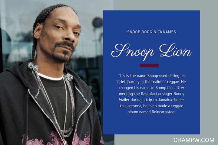 14 Snoop Dogg Nicknames: From Snoop Lion To The Doggfather