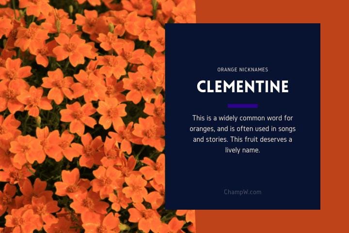 50+ Nicknames For Orange Around The World