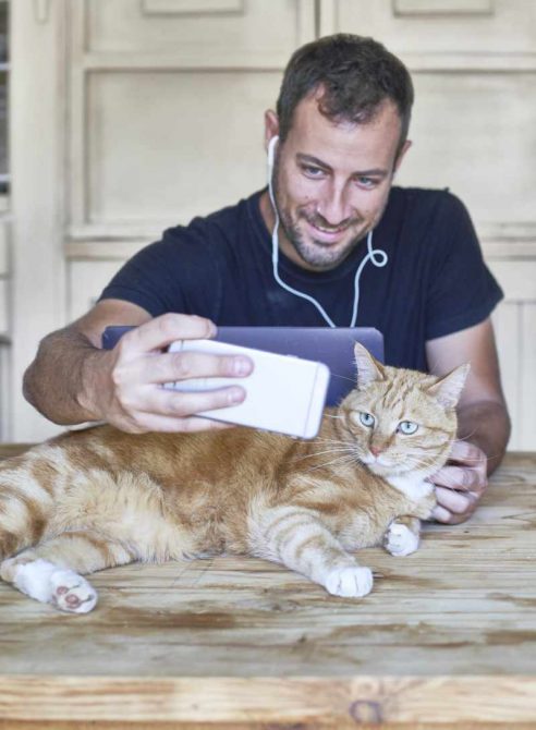 Shoot Cat Videos on Your Smartphone – Dash Kitten