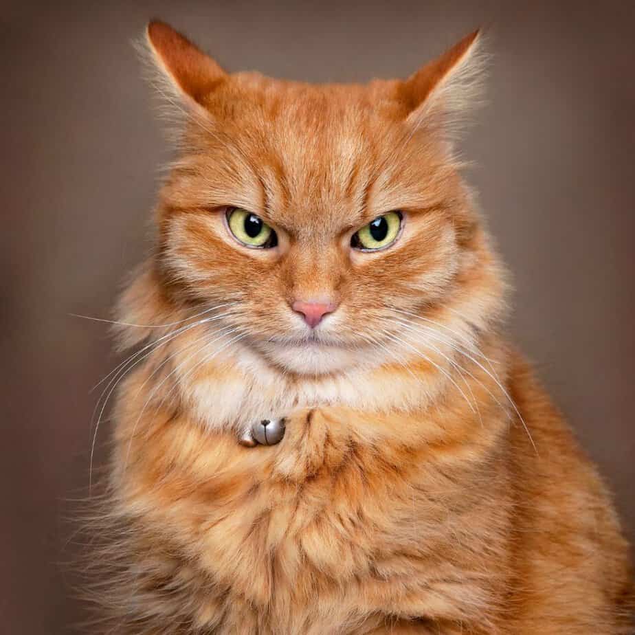 Optimise Your Image Names To Unlock More Rankings - EPR Marketing